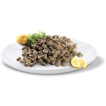 Vongole Lupino Coop Shop