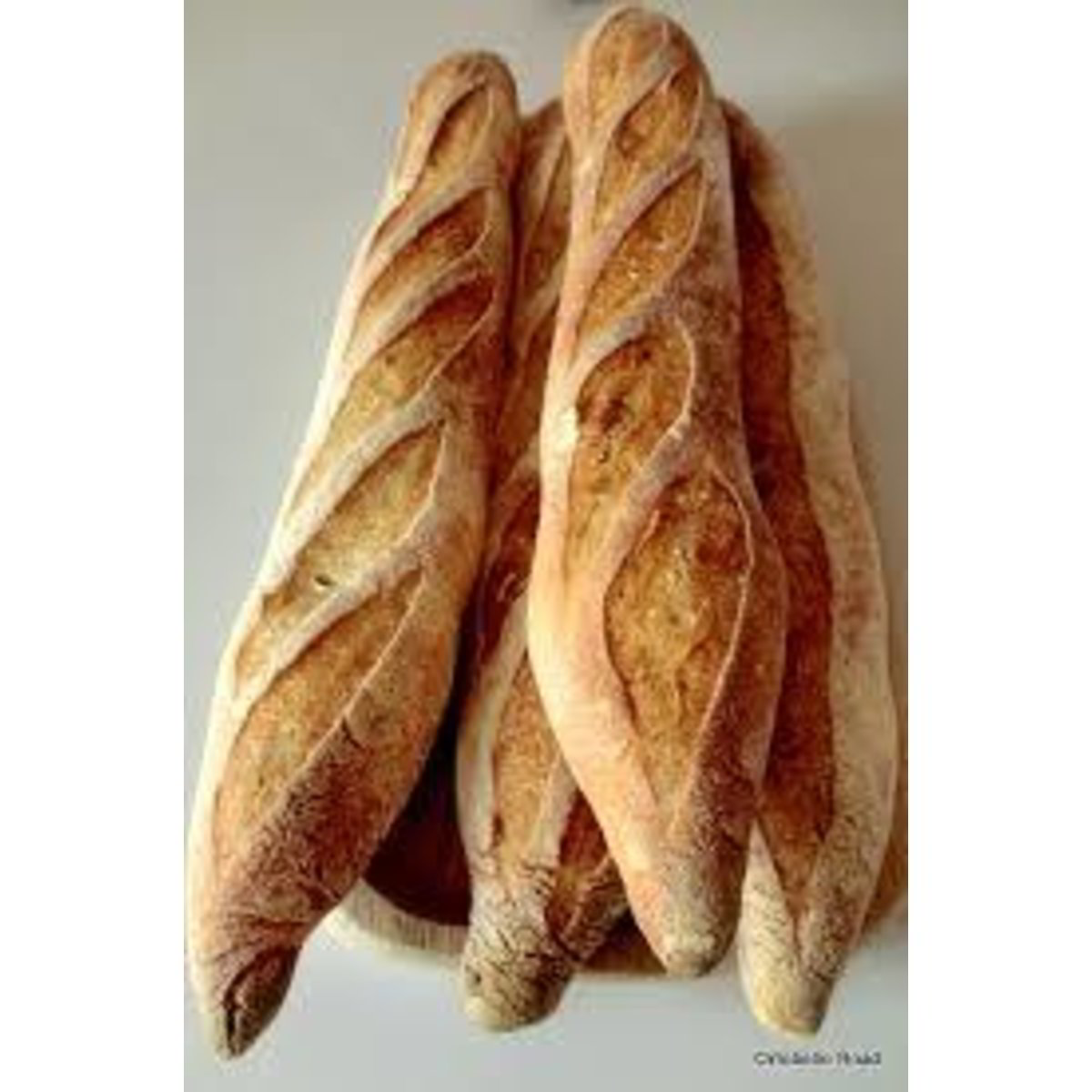 Pane filone VEROPAN - Coop Shop