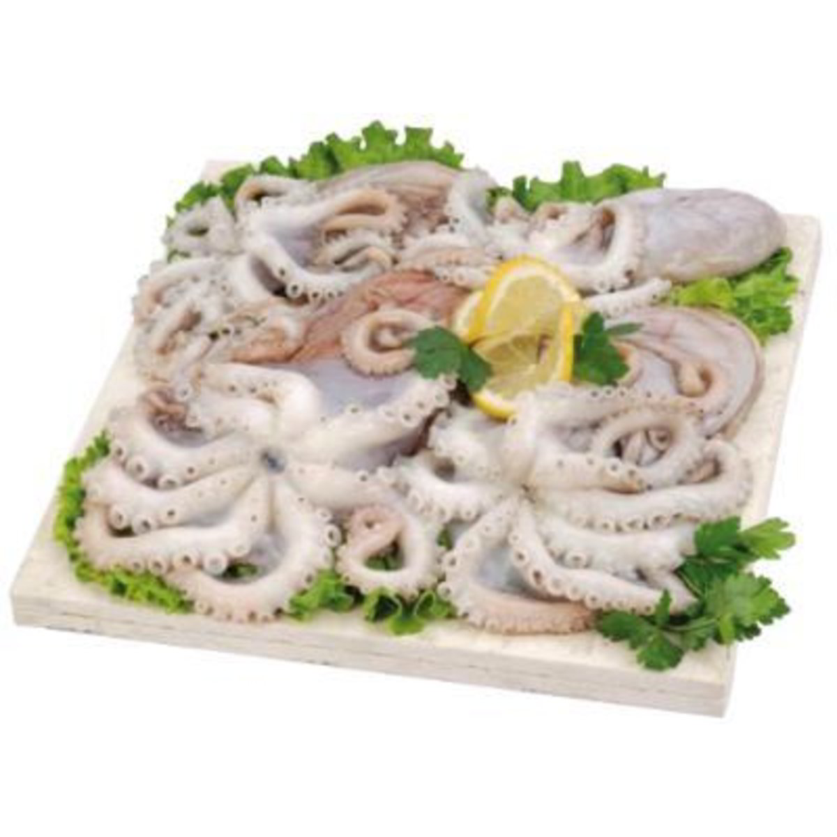 Moscardini - Coop Shop