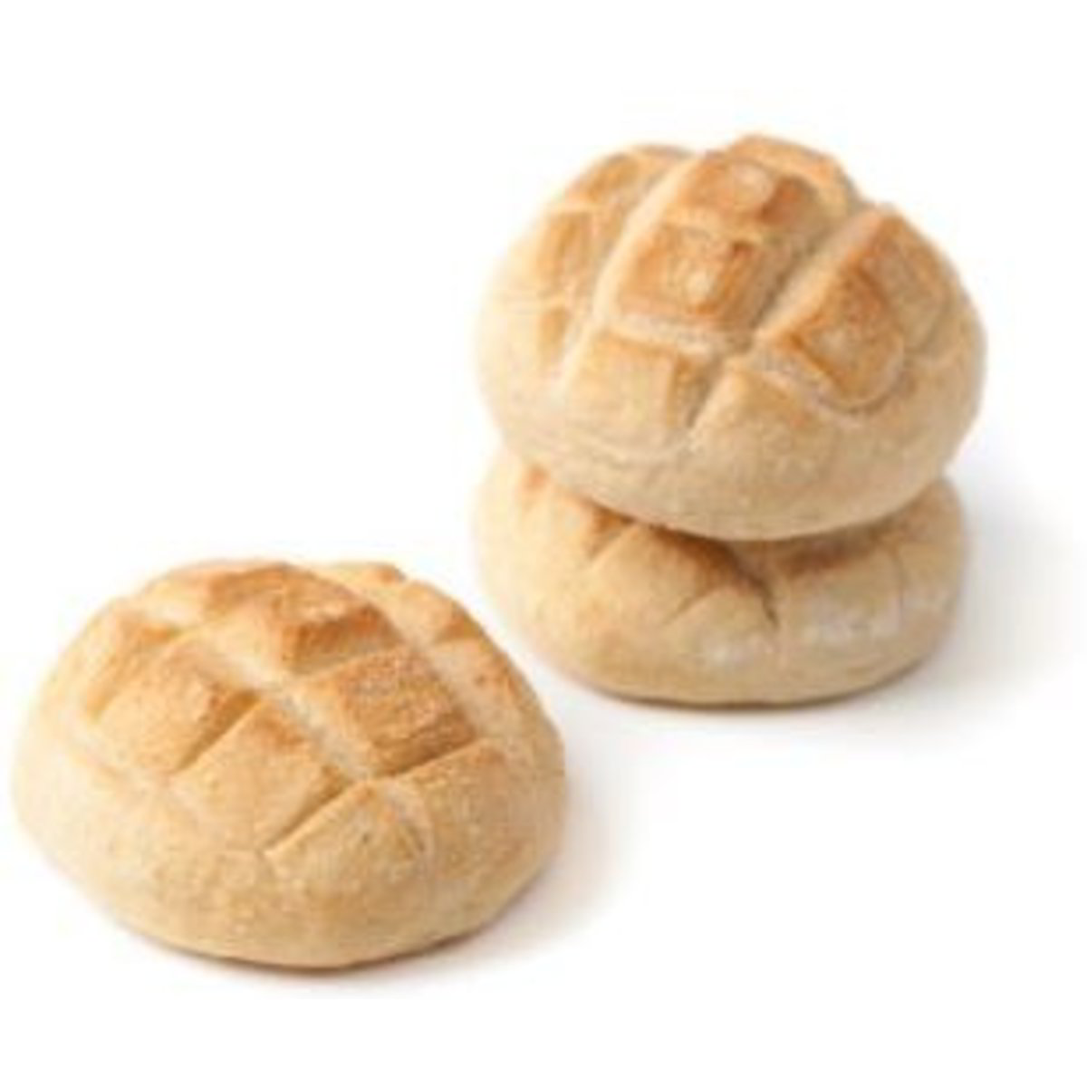 Pane tartaruga - Coop Shop