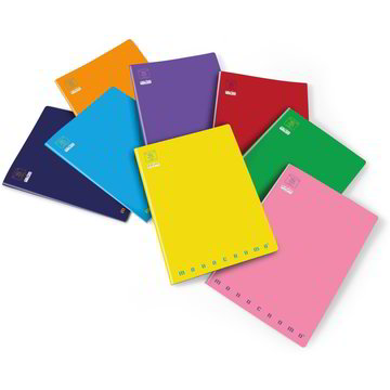 Quaderno maxi righe 1francese 100 gr 38 ff/sh PIGNA 1 PZ - Coop Shop