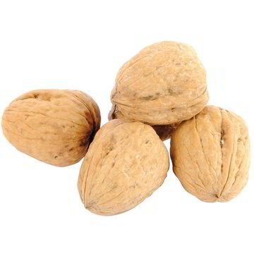 Noci california CAPUTO - Coop Shop