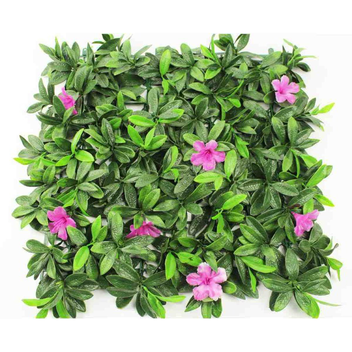 SIEPE SINT.+OMBR.RODOD. MT 1X1 - Coop Shop