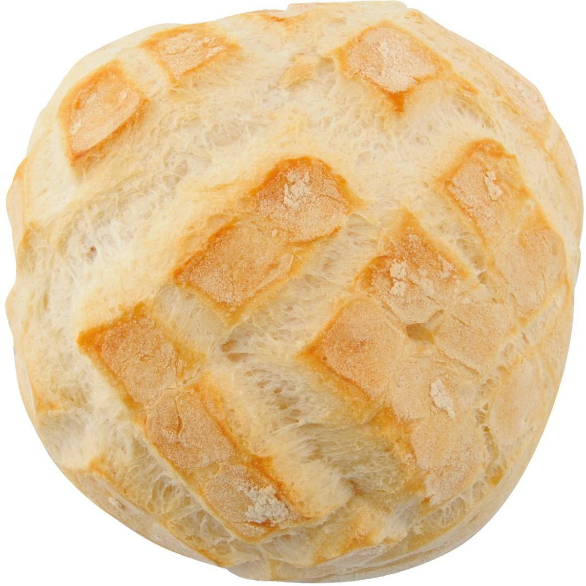 Pane tartaruga - Coop Shop