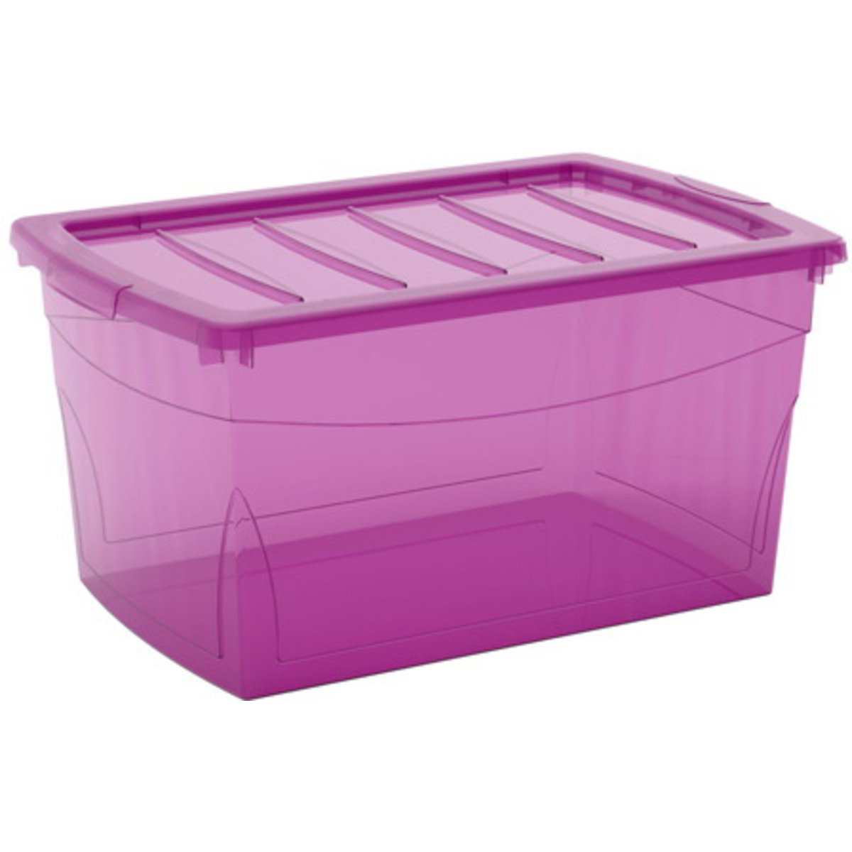 Scatola in plastica omnibox fucsia 58,5x39x30cm KIS 1 PZ - Coop Shop