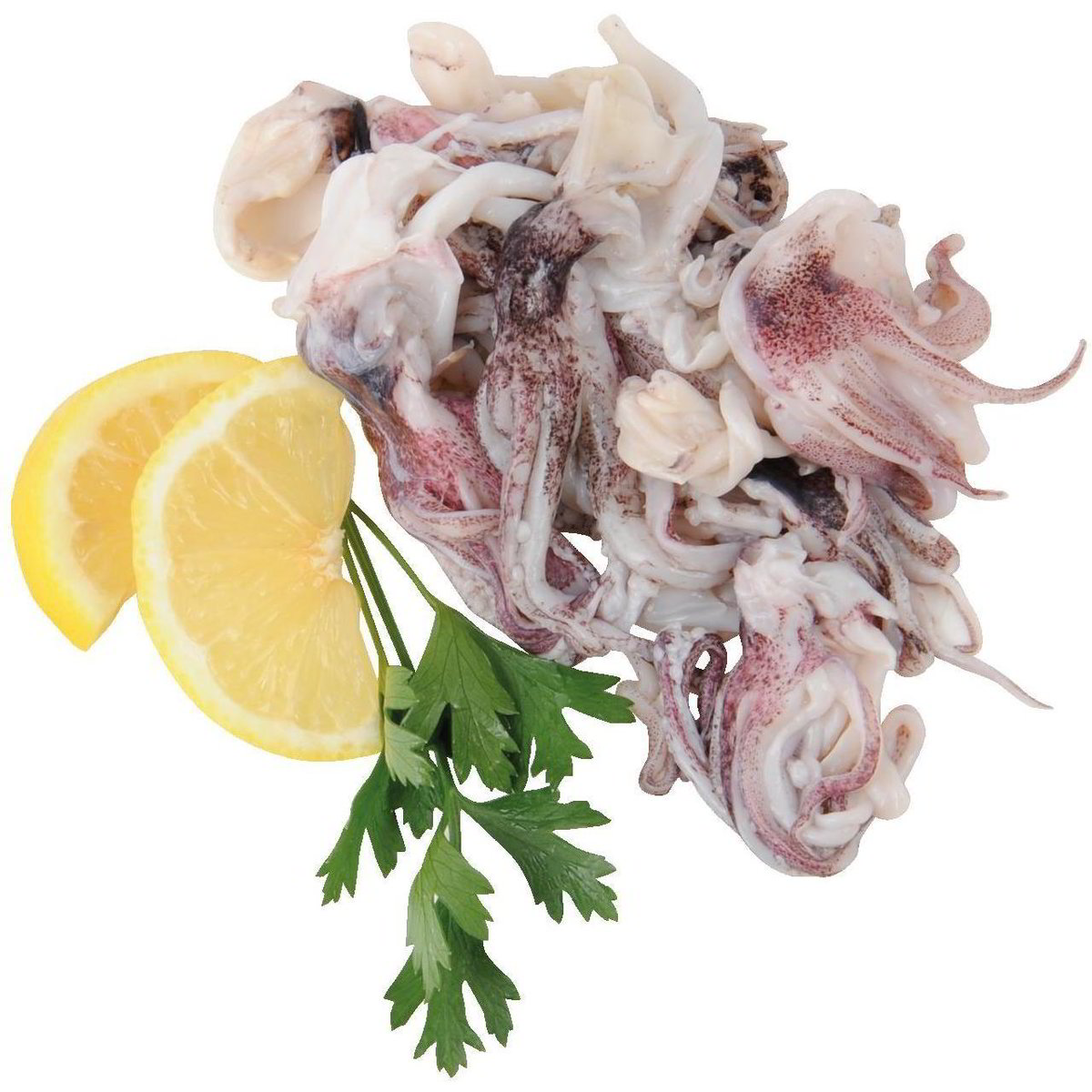 Calamari ciuffi orientali decongelati - Coop Shop