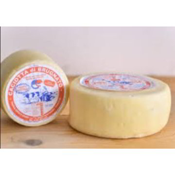 Formaggio caciotta ESPOSITO - Coop Shop