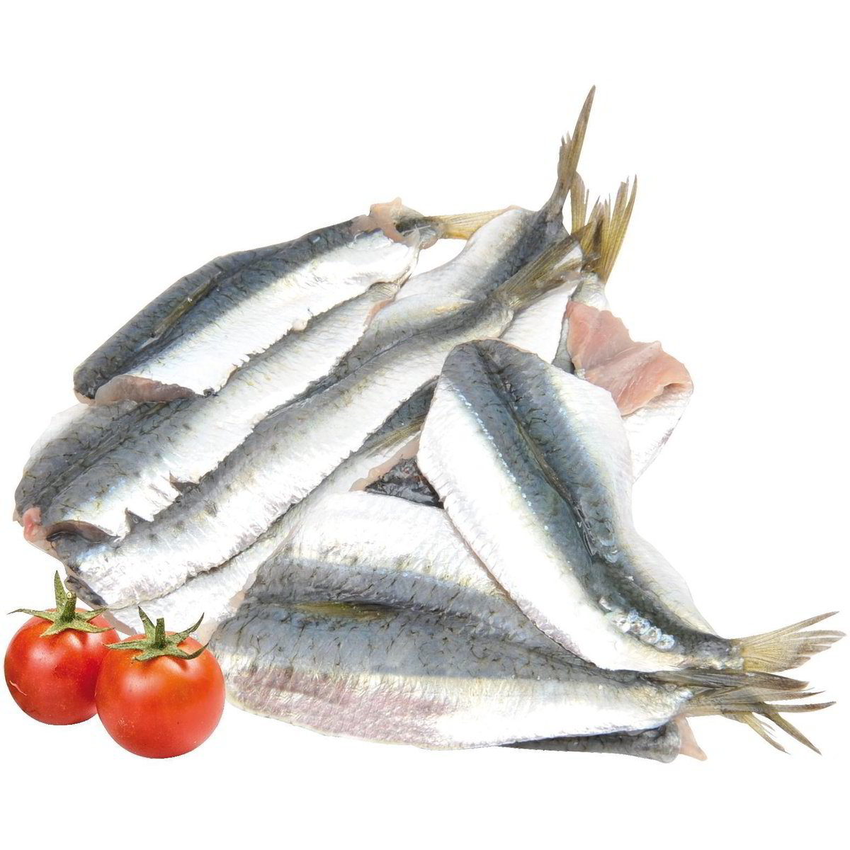 Sardina filetto - Coop Shop