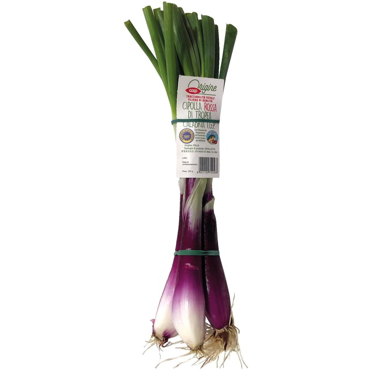 Cipollotti di tropea IGP COOP 250 G - Coop Shop