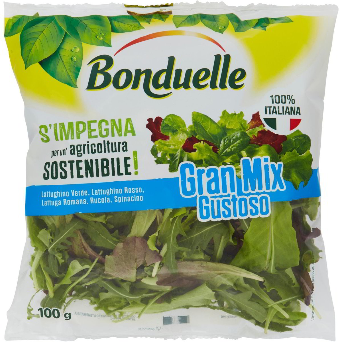 Insalata gran mix gustoso BONDUELLE 100 G - Coop Shop