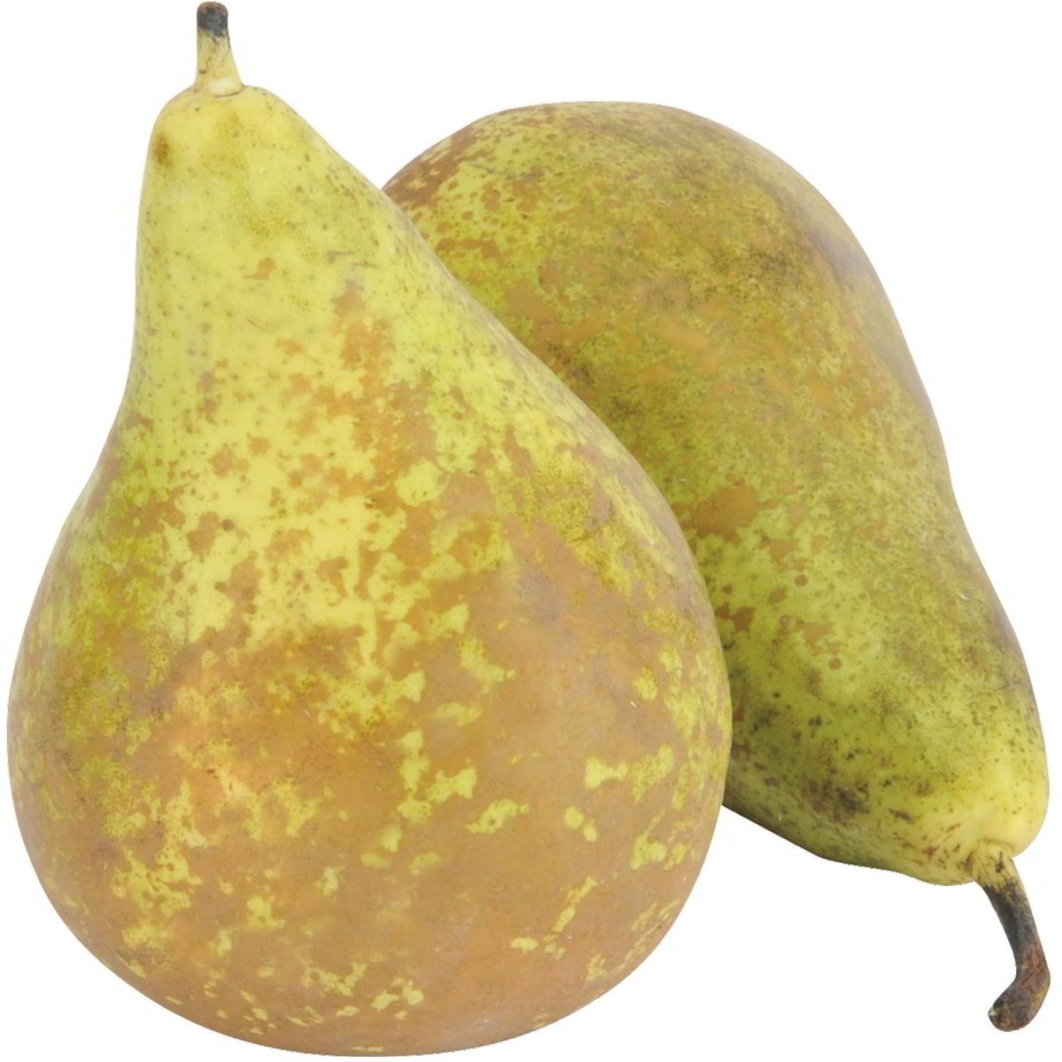 Pere conference 1000 GR - Coop Shop