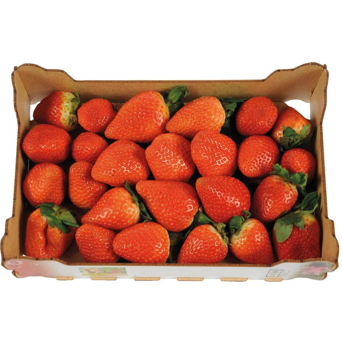 Fragole 1000 GR - Coop Shop