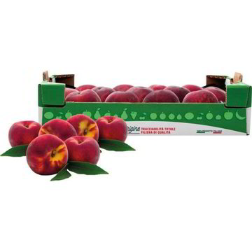 Pesche gialle COOP - ORIGINE 2000 G - Coop Shop