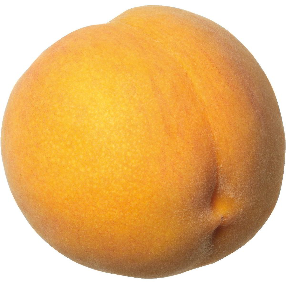 Pesche percoche IGP DOLCEFRUTTA 1500 G - Coop Shop