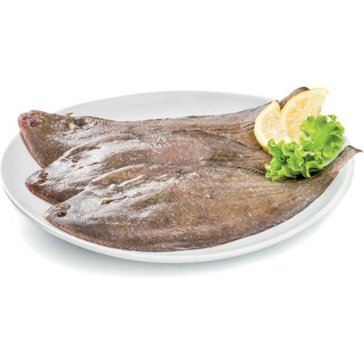 Sogliola - Coop Shop