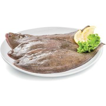 Sogliola - Coop Shop