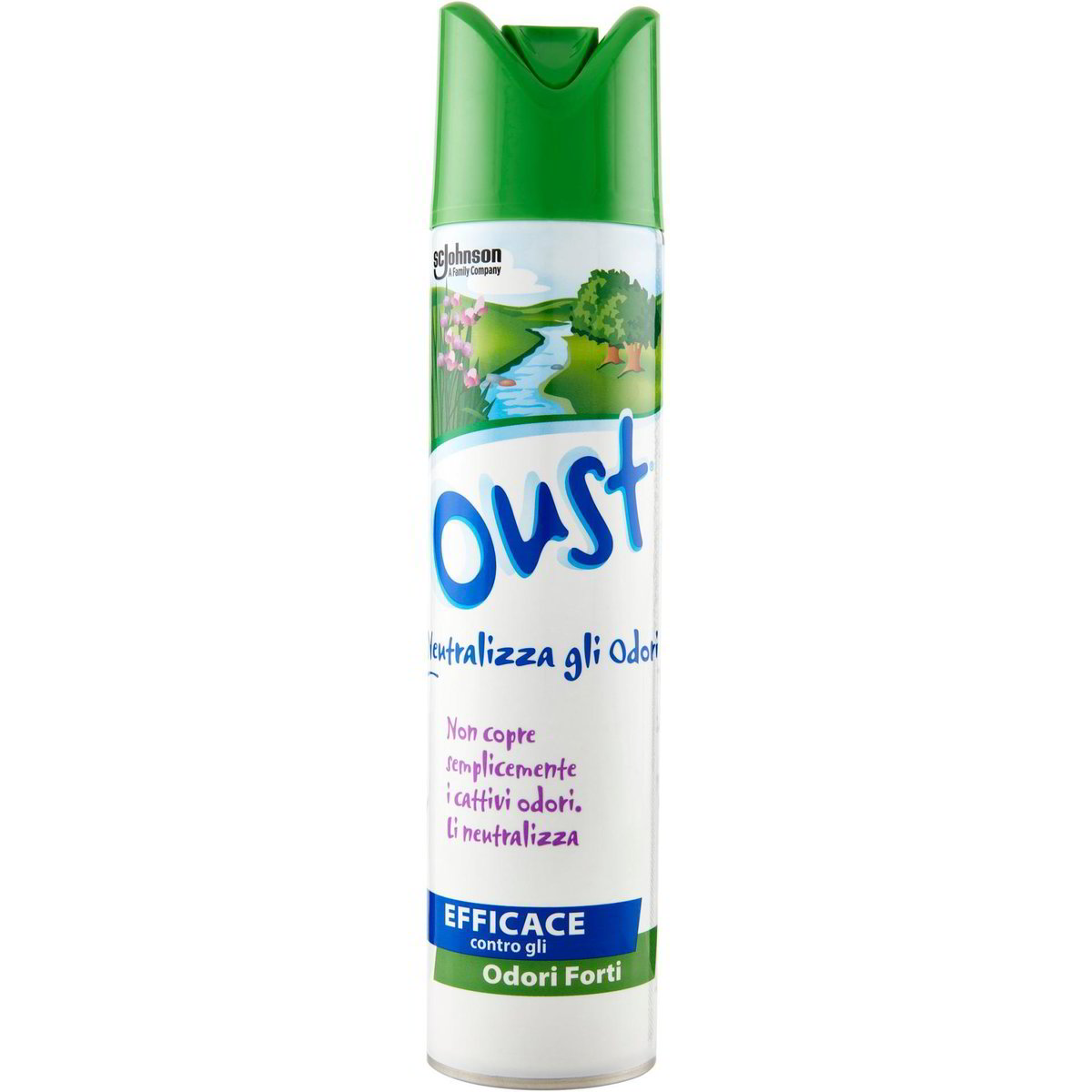 Deodorante ambienti elimina odori open air OUST 300 ML - Coop Shop