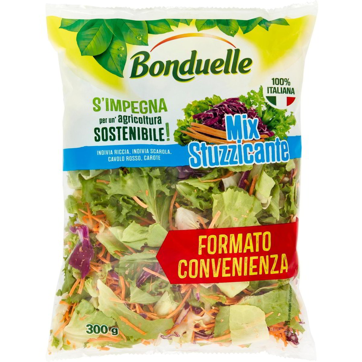 Insalata mix stuzzicante BONDUELLE 300 G - Coop Shop