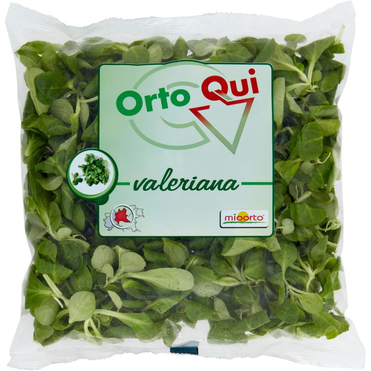 Insalata valeriana ORTOQUI' 100 G - Coop Shop