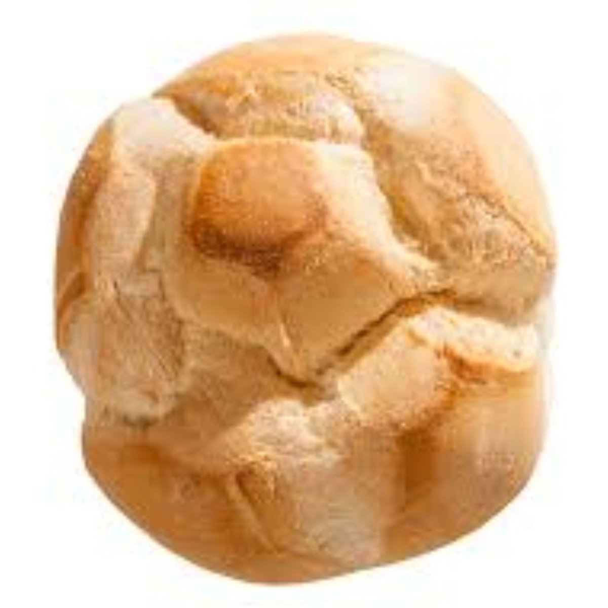 Pane michetta tartaruga - Coop Shop