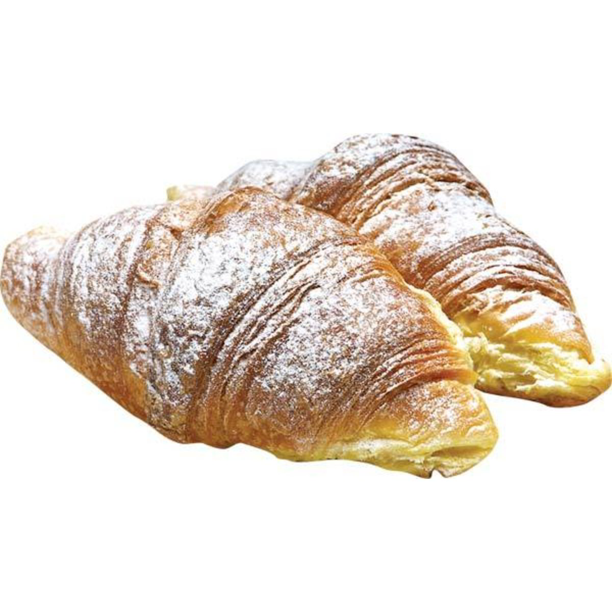 Croissant crema - Coop Shop