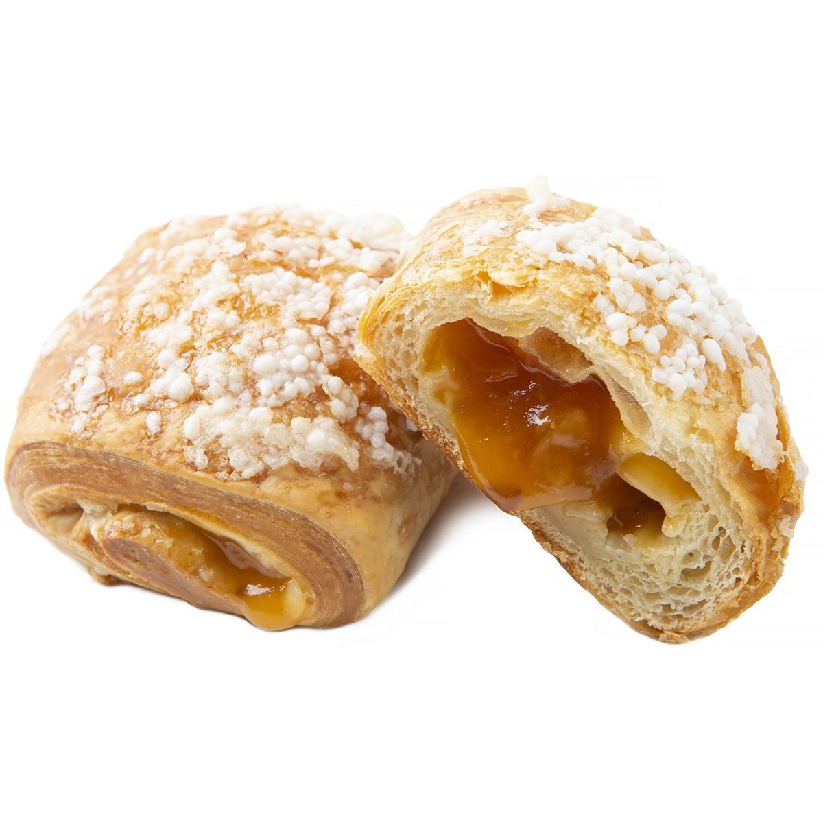 Fagottino all'albicocca - Coop Shop