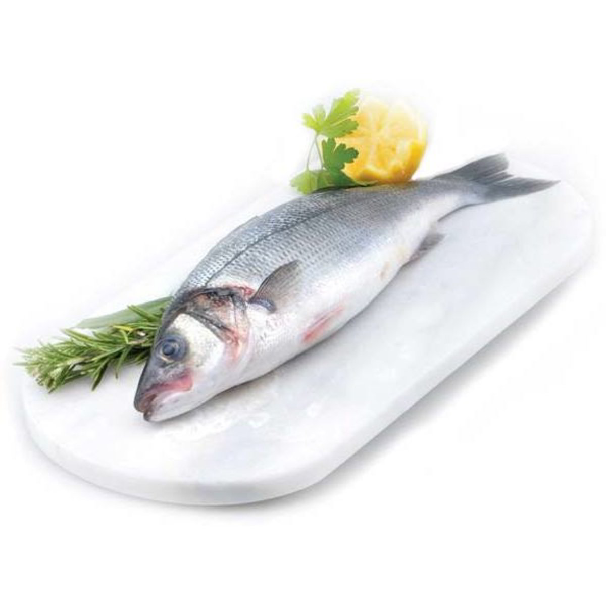 Branzino orbetello allevato - Coop Shop