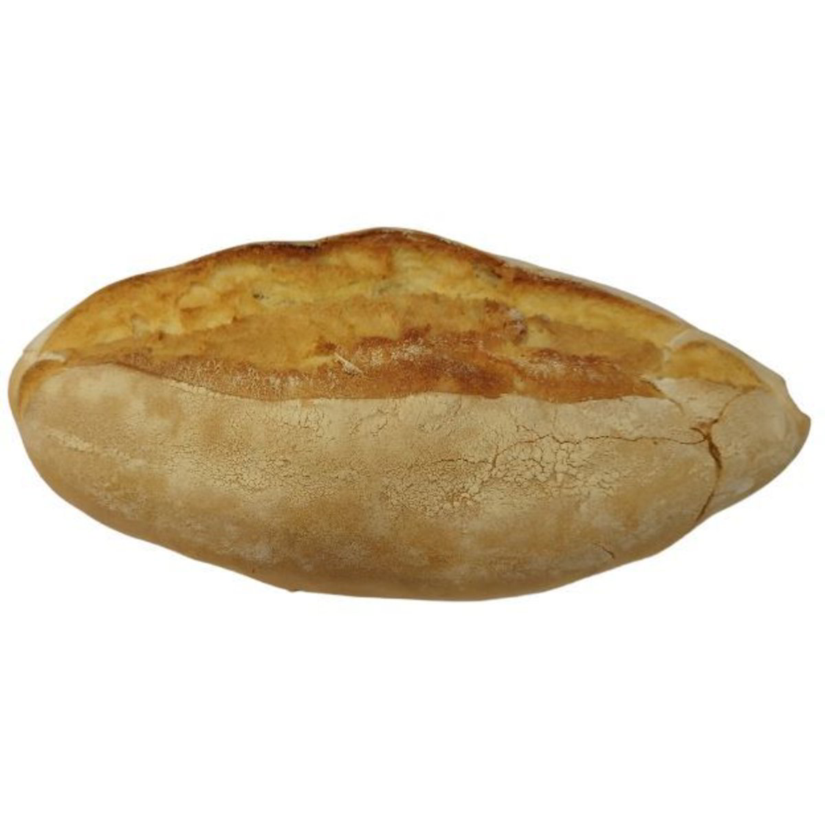 Pane sciocco - Coop Shop