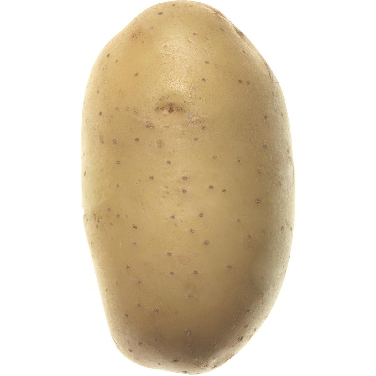Patate bianche 1500 G - Coop Shop