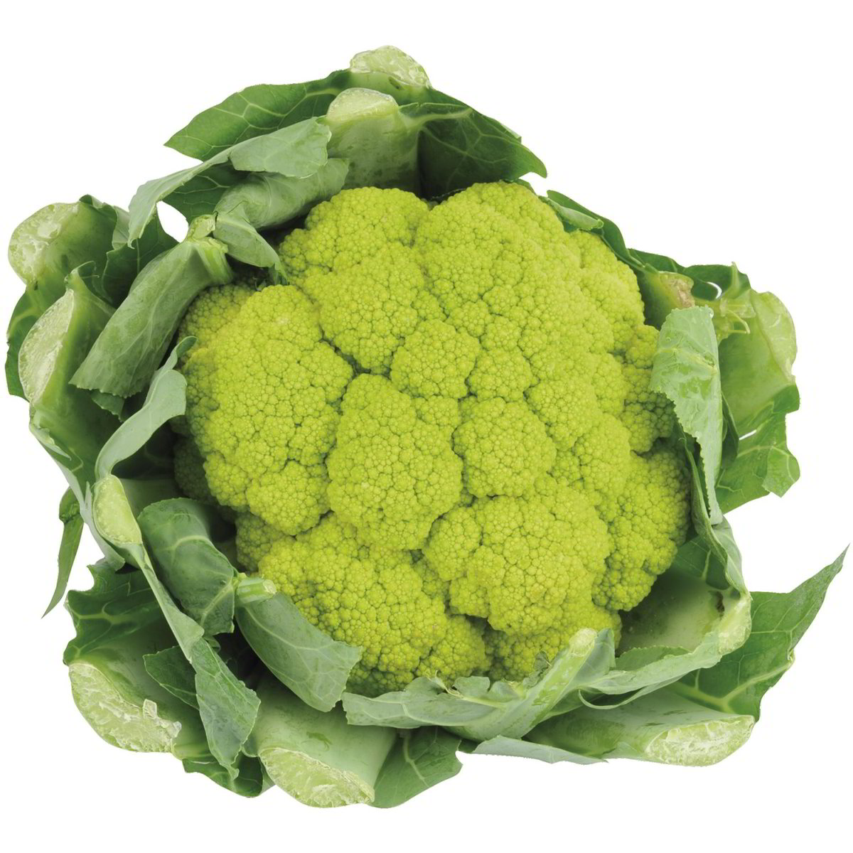Cavolfiore verde - Coop Shop