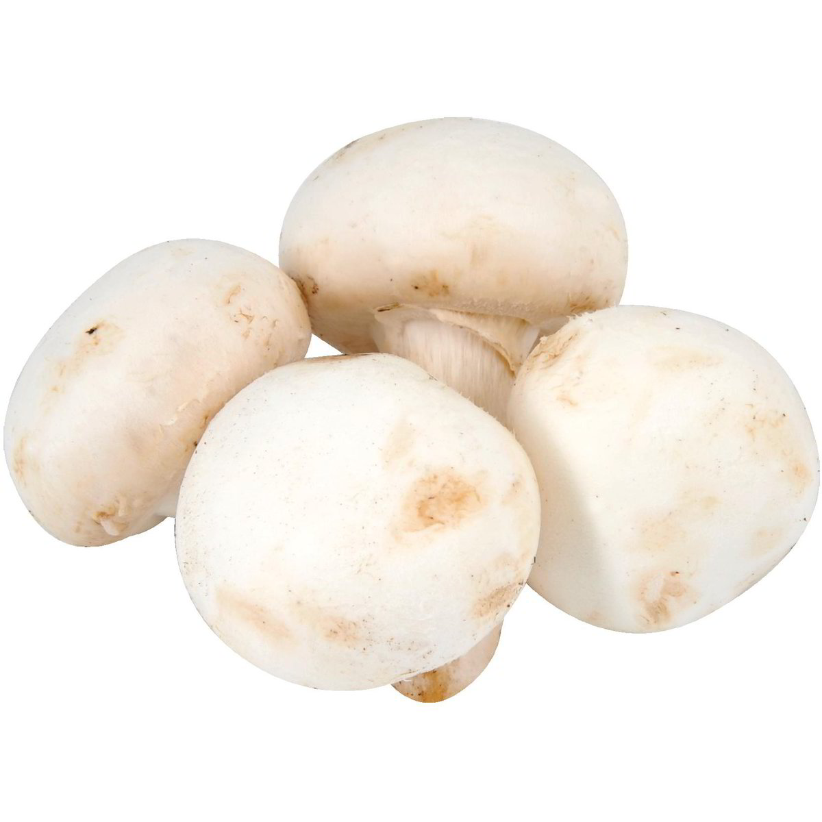 Funghi champignon 500 G - Coop Shop
