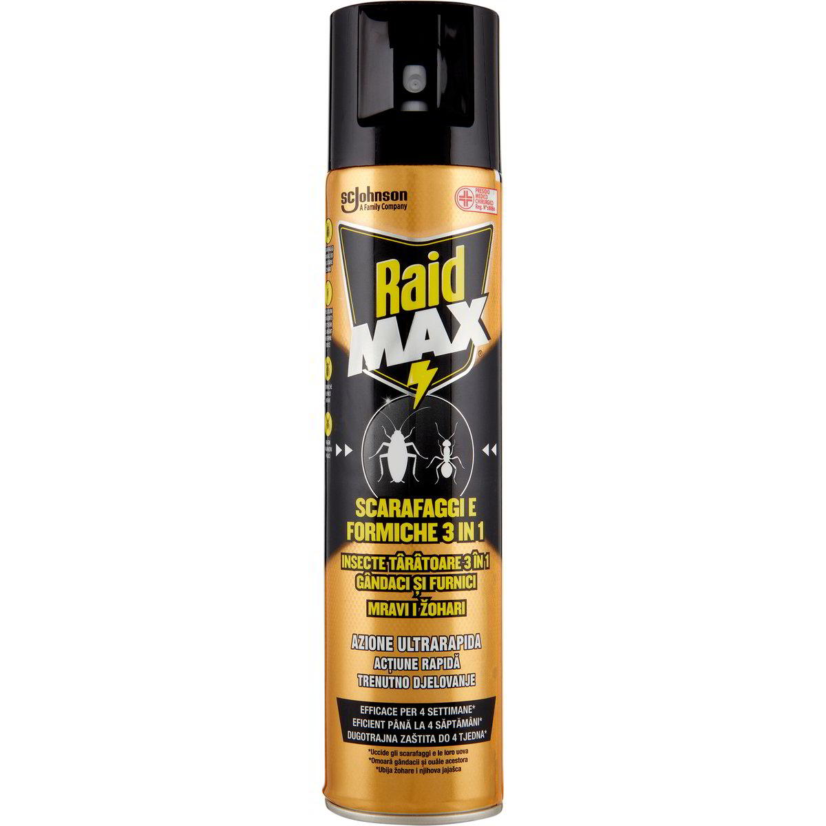 Insetticida spray scarafaggi/formiche 3in1 RAID 300 ML - Coop Shop