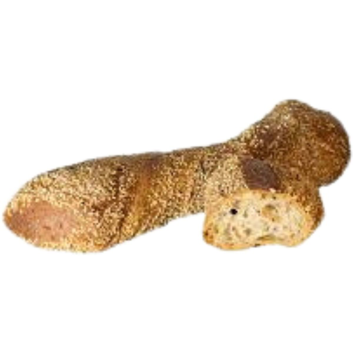 Pane pan paillasse IL FORNAIO DI MARE - Coop Shop