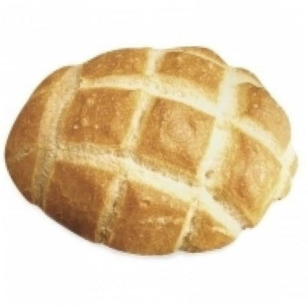 Pane tartaruga PAN.MARAZZI LUIGI - Coop Shop