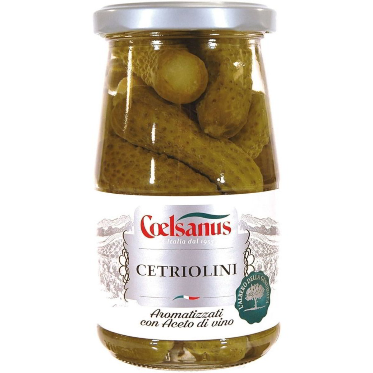 Cetriolini aromatizzati con aceto di vino COELSANUS 550 GR - Coop Shop