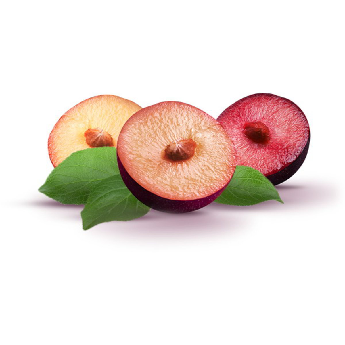 Susine metis 500 G - Coop Shop